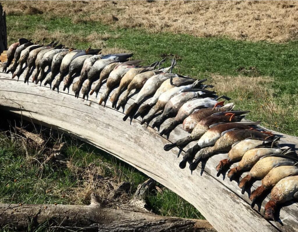 Three Curl Duck Club – Lorena Texas