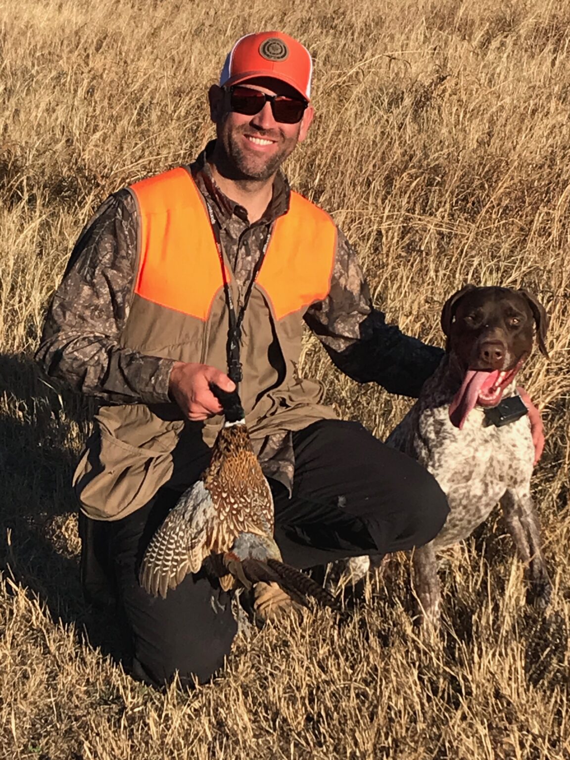 North Texas Quail Hunts
